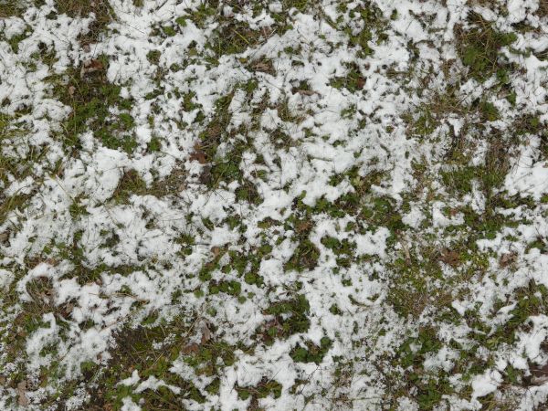 frozen ground texture 0010 - Texturelib